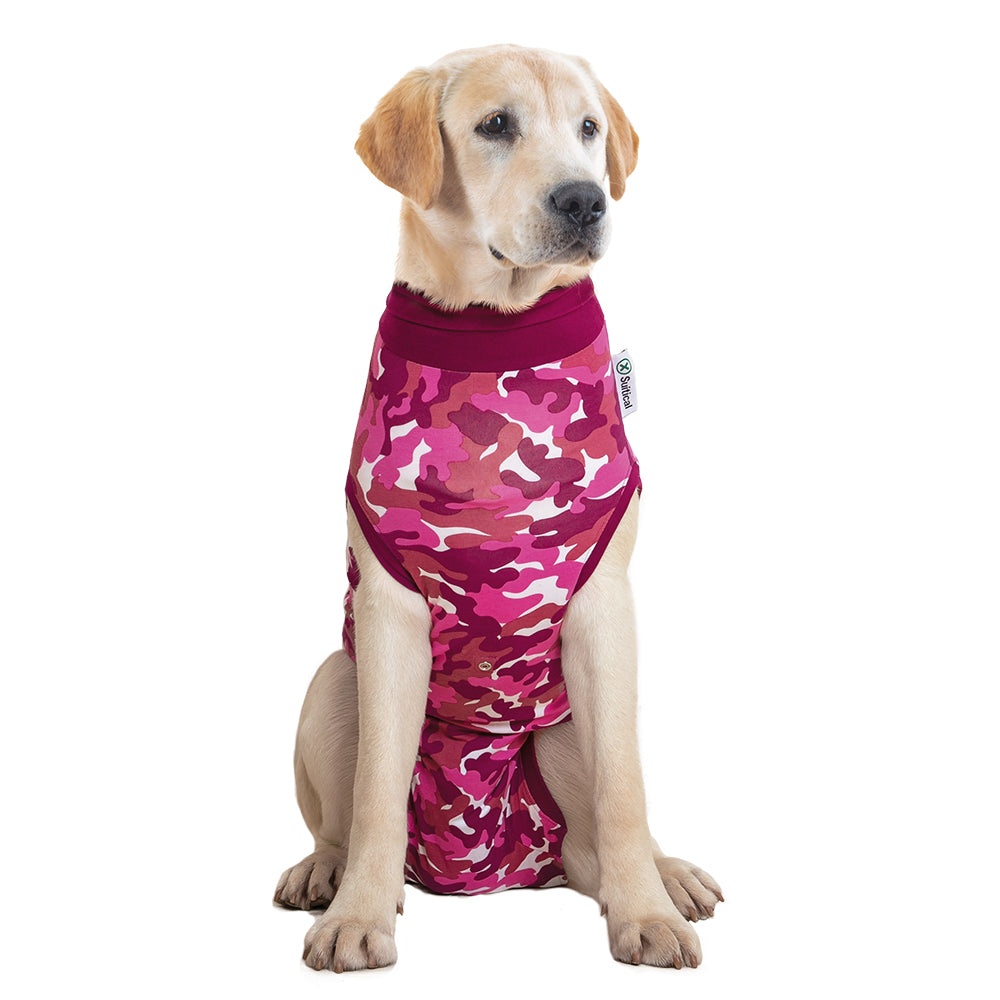 SUITICAL RECOVERY SUIT® DOG - Recovery Suits Australia distributer of ...